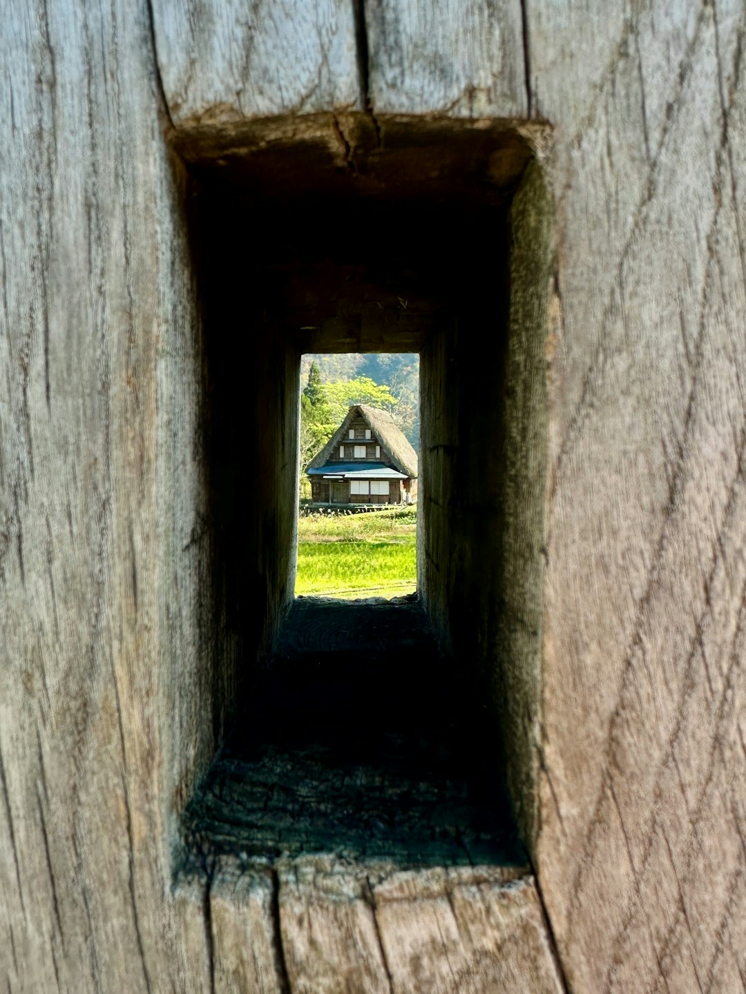 フレームインフレームで写真に深みを！額縁構図の魅力と撮影アイデア | Knowledge #191 | cizucu