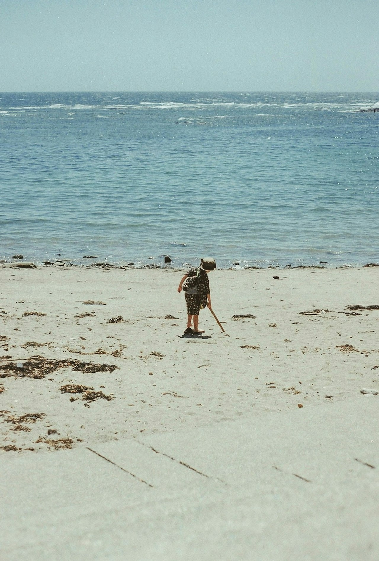 cizucu編集部の「注目作品」をご紹介 | Focus #570 | cizucu