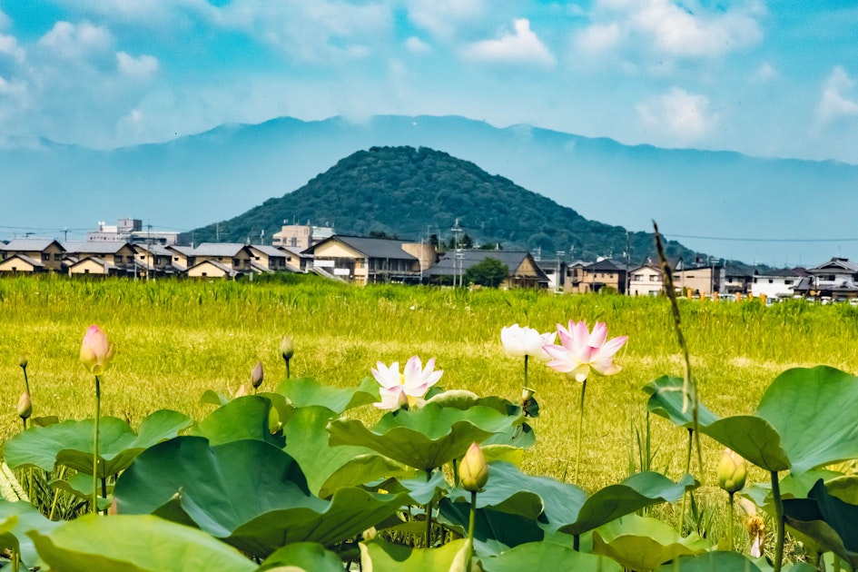 今週の注目作品に『Spotlight』| Knowledge #58 | cizucu