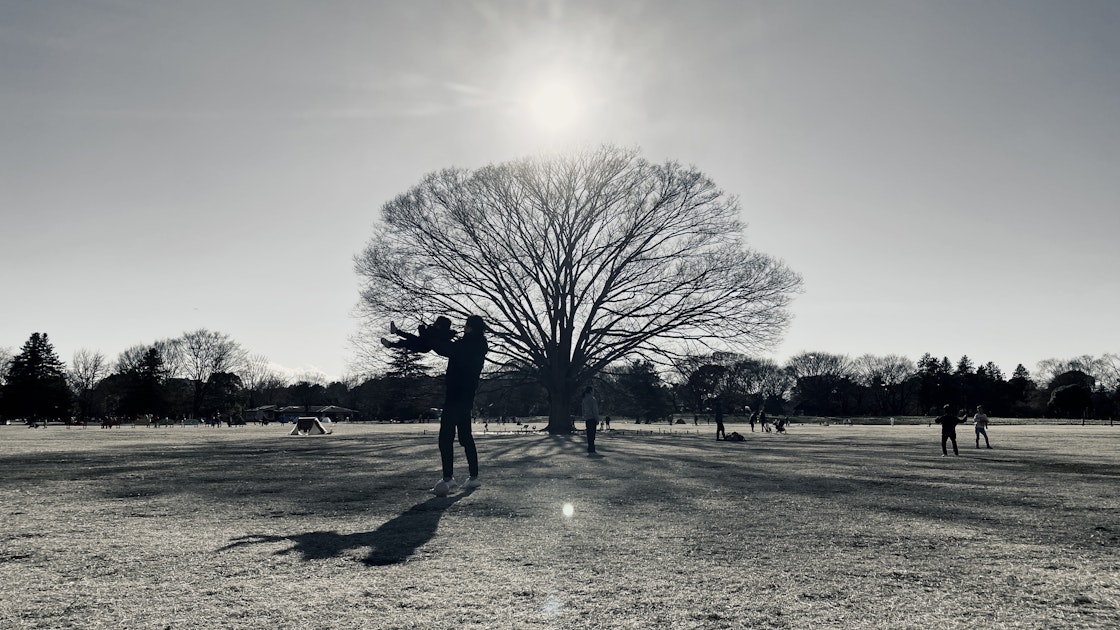 今週の注目作品に『Spotlight』| Knowledge #39 | cizucu