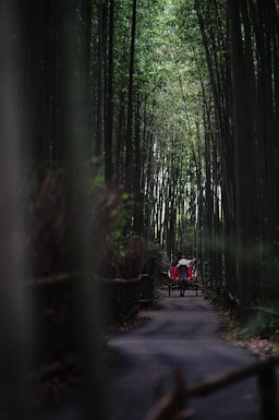 cizucu主宰『Way We Wander』| Challenge #134 | cizucu