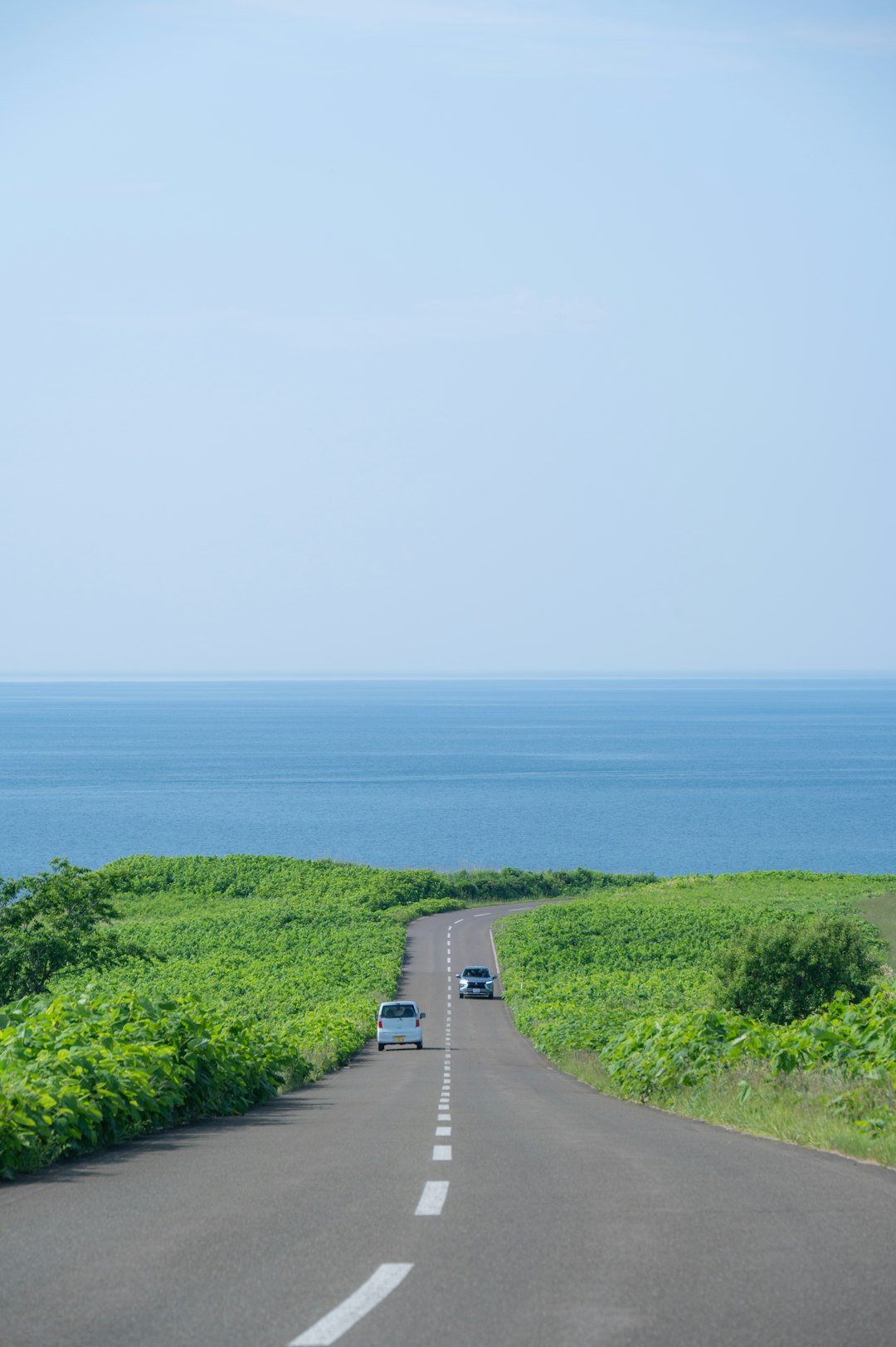 Add Graceful Movement to Your Subjects with Curved Composition ...