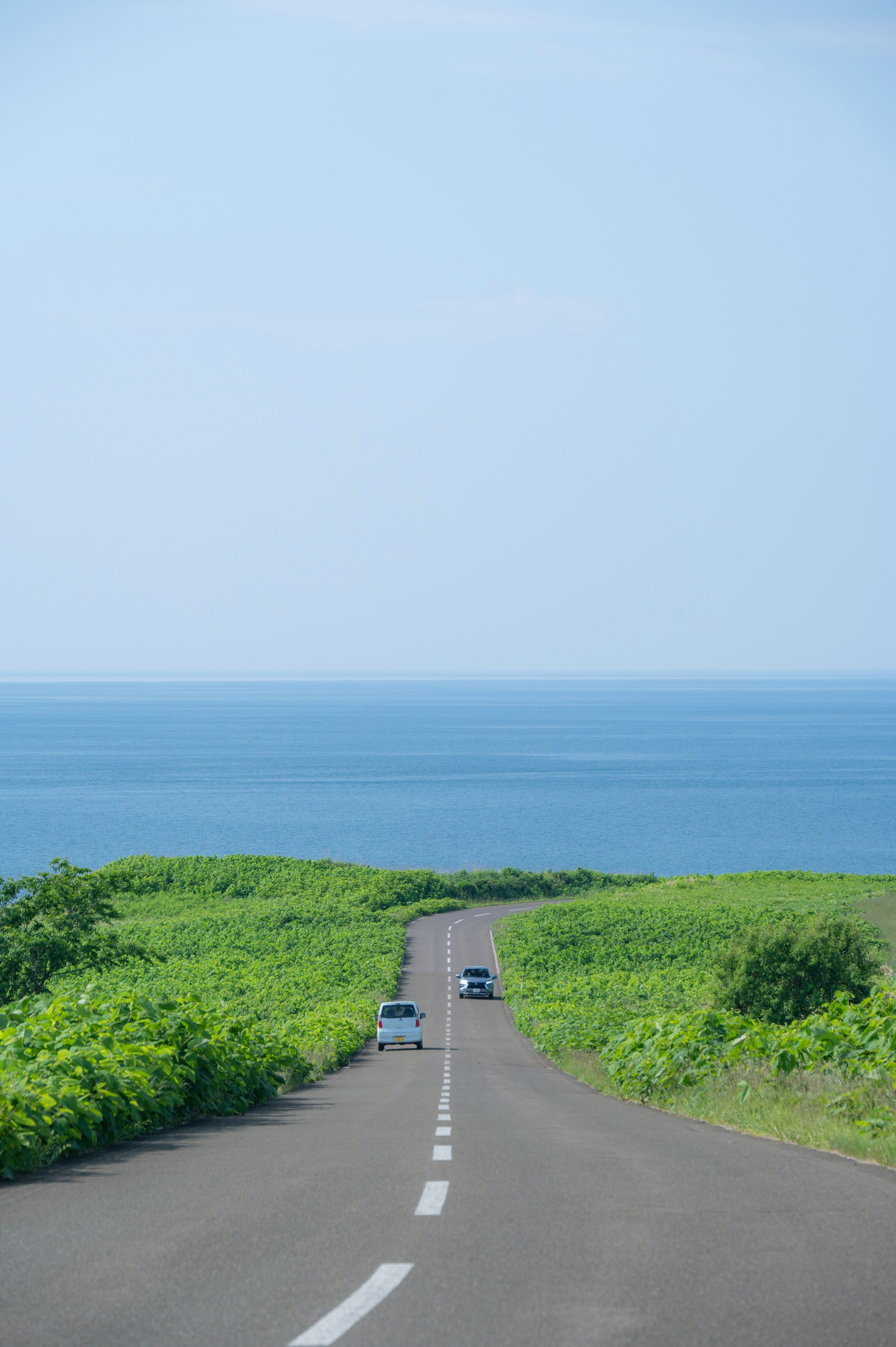 Add Graceful Movement to Your Subjects with Curved Composition ...