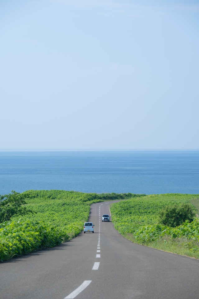 Add Graceful Movement to Your Subjects with Curved Composition ...