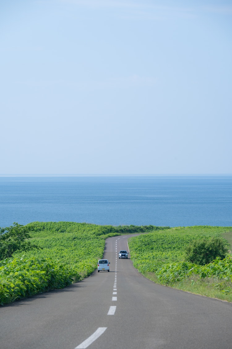 Add Graceful Movement to Your Subjects with Curved Composition ...