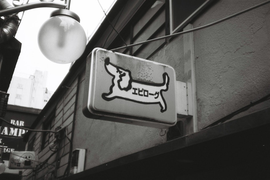 瞬間を切り取る「スナップ写真」の魅力と楽しみ方 | Knowledge #150 | cizucu