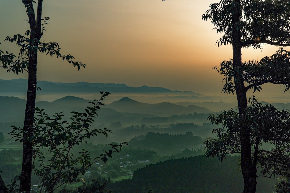 今週の注目作品に『Spotlight』| Knowledge #59 | cizucu