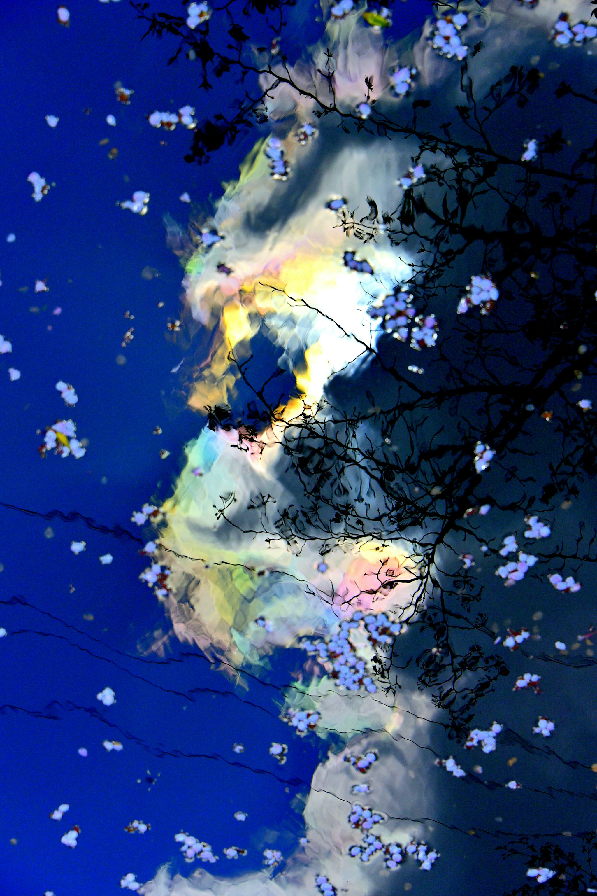 cizucu主宰『Blue Day』| Challenge #115 | cizucu