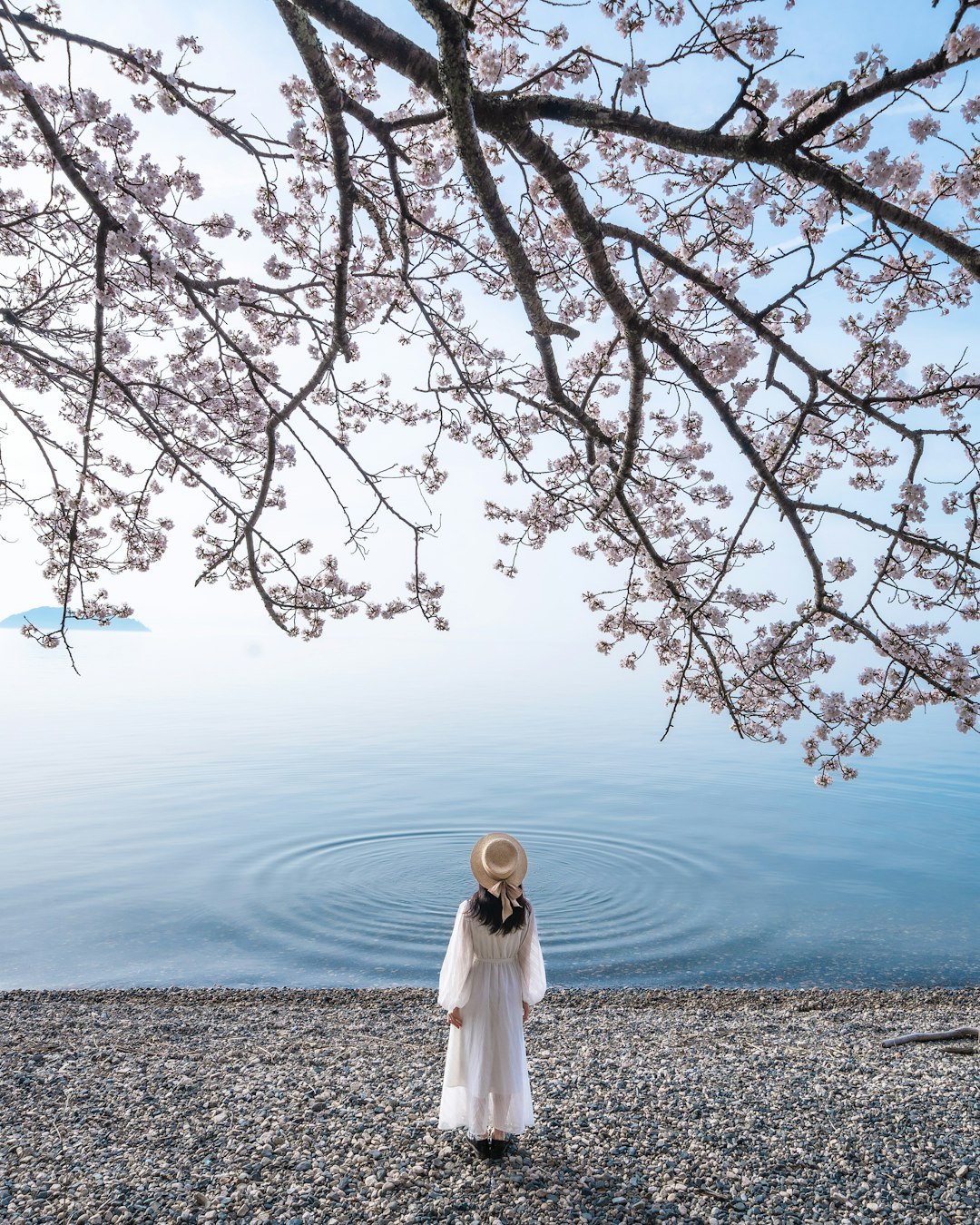 今週の注目作品に『Spotlight』| Knowledge #28 | cizucu