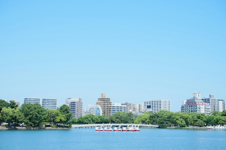 福冈必访的6家相机店 | Knowledge #155 | cizucu