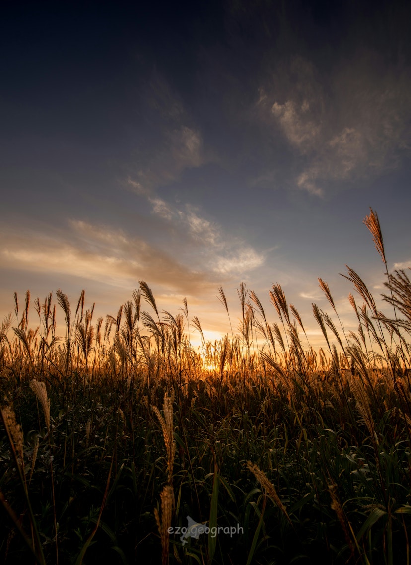 空はなぜ青い？夕焼けはなぜ赤い？ | Knowledge #88 | cizucu