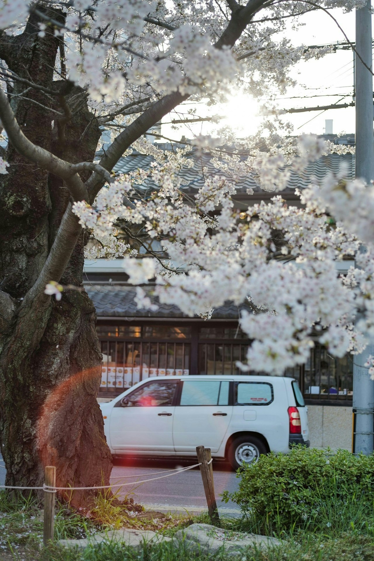 オールドレンズで始める新しい写真体験 | Knowledge #100 | cizucu