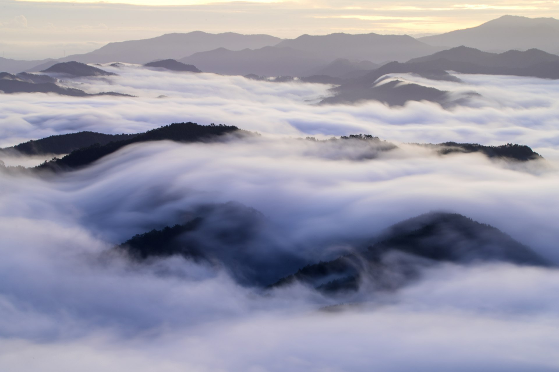 霧を美しく撮影するテクニック | Knowledge #140 | cizucu