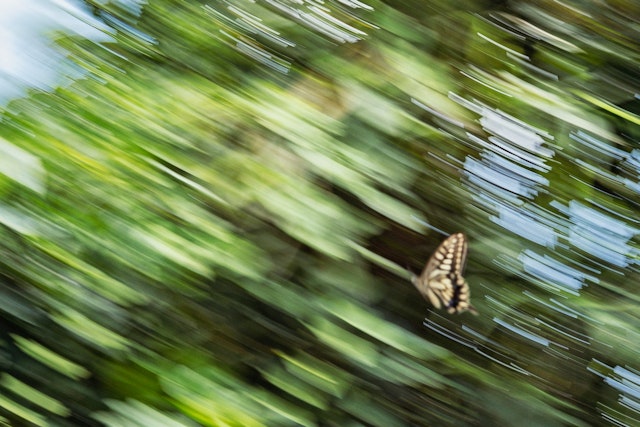 The Era Where Blur Becomes a Strength: The Future of Super-Resolution ...