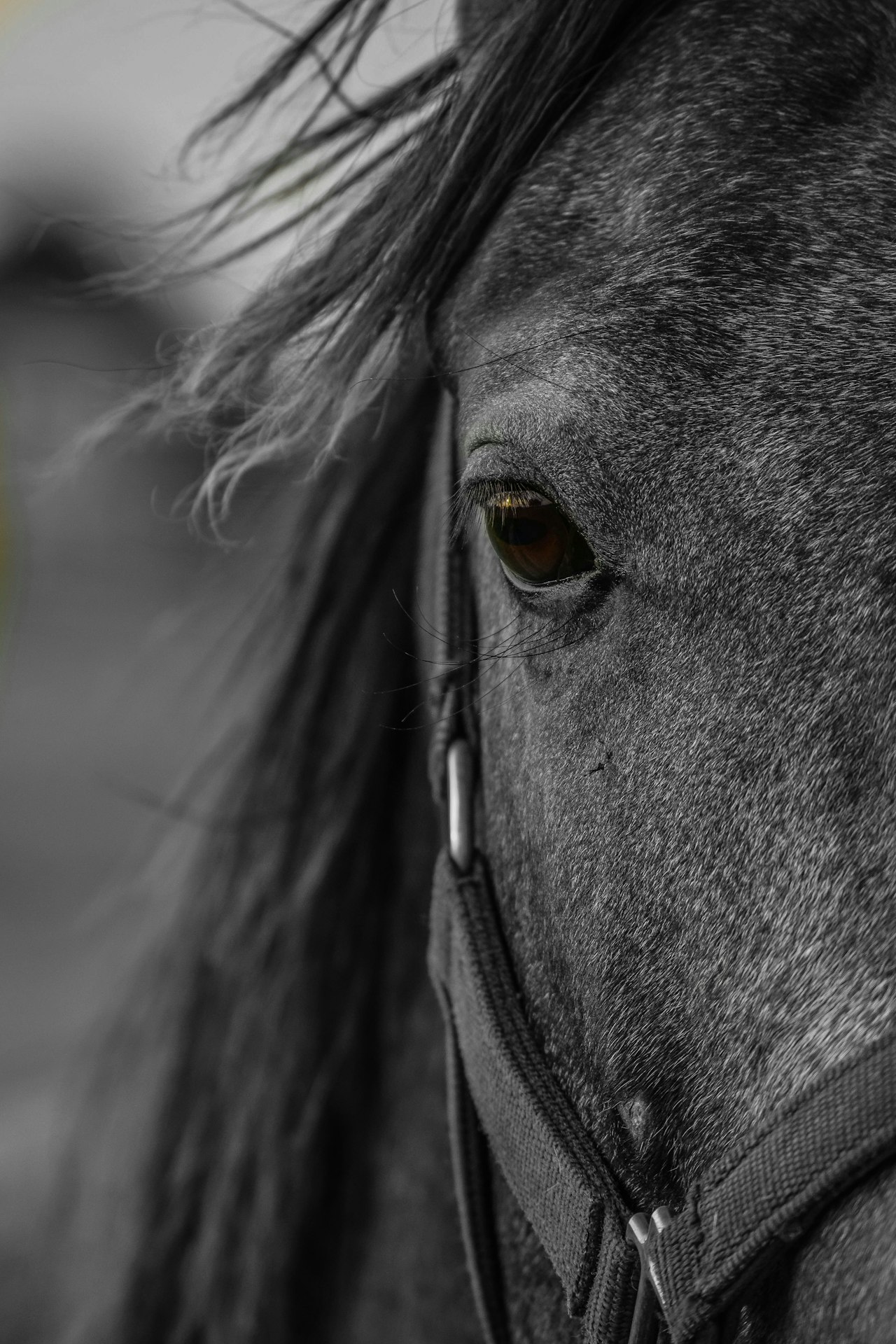 cizucu Presents 'Love, From Here' | Challenge #302 | cizucu