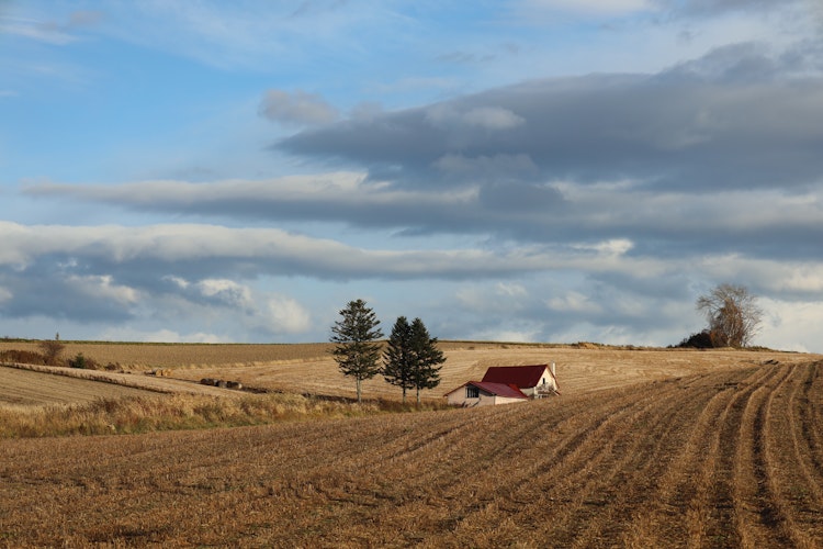 Fancy World through cizucu | Focus #18 | cizucu
