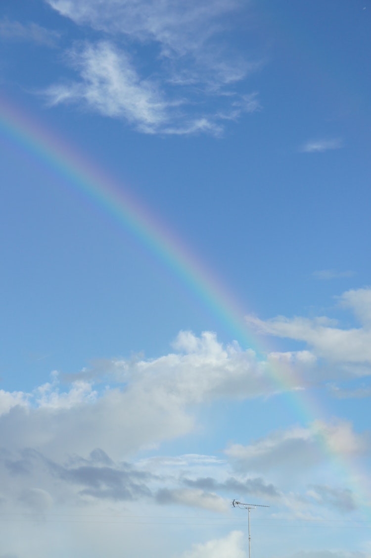 雨の日だって撮影日和 | Focus #146 | cizucu