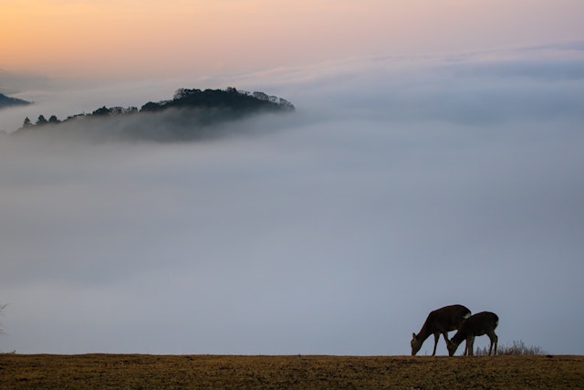 今週の注目作品に『Spotlight』| Knowledge #23 | cizucu