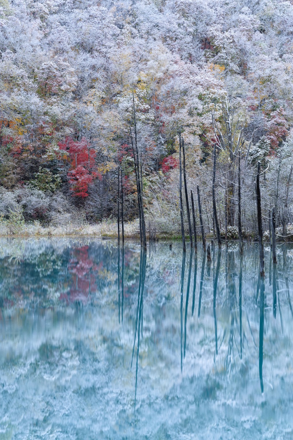 今週の注目作品に『Spotlight』| Knowledge #25 | cizucu