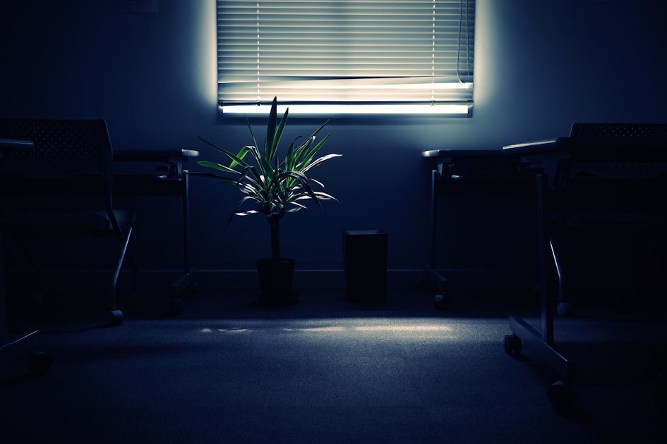 今週の注目作品に『Spotlight』| Knowledge #23 | cizucu