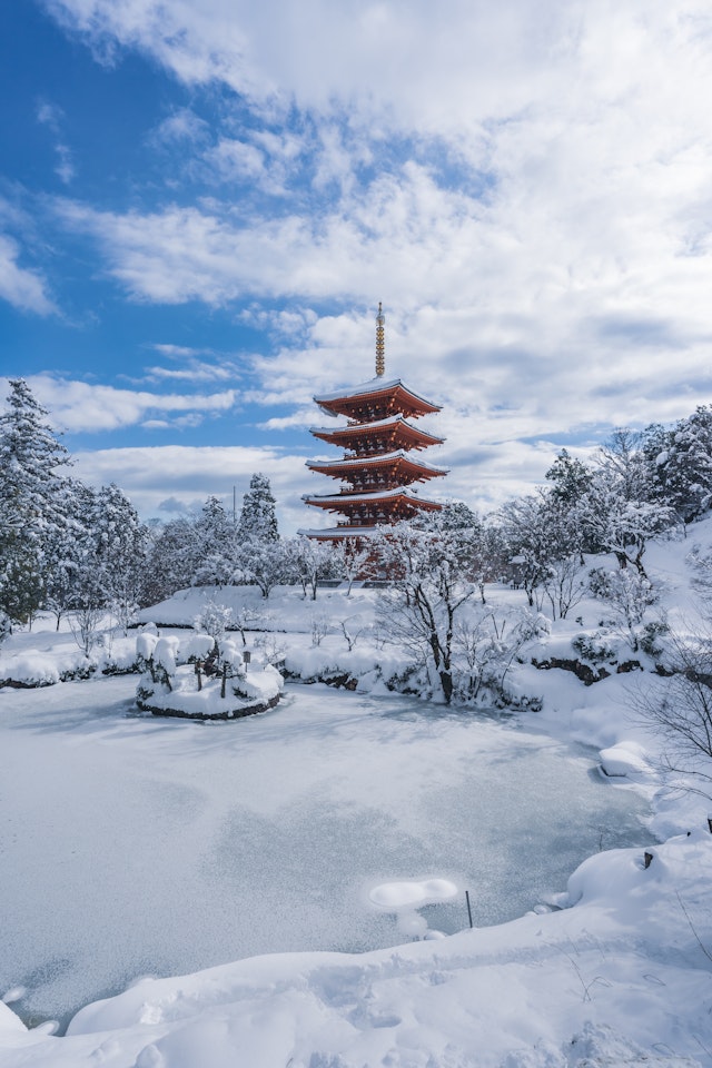 cizucu主宰『2023』 | Challenge #48 | cizucu