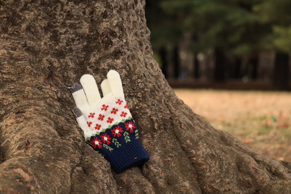 落としものの持ち主は今… | Focus #152 | cizucu