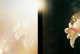 半格相机的魅力与购买优势是什么？ | Knowledge #293 | cizucu