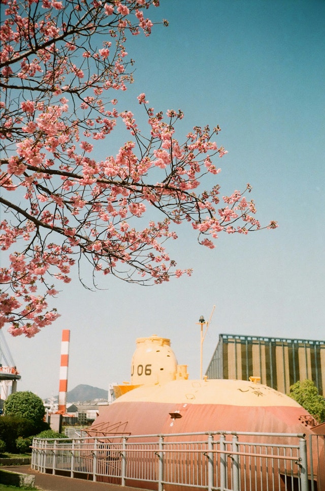 写真が語りだす、「フィルムグレイン」が生む質感と深み | Knowledge #91 | cizucu