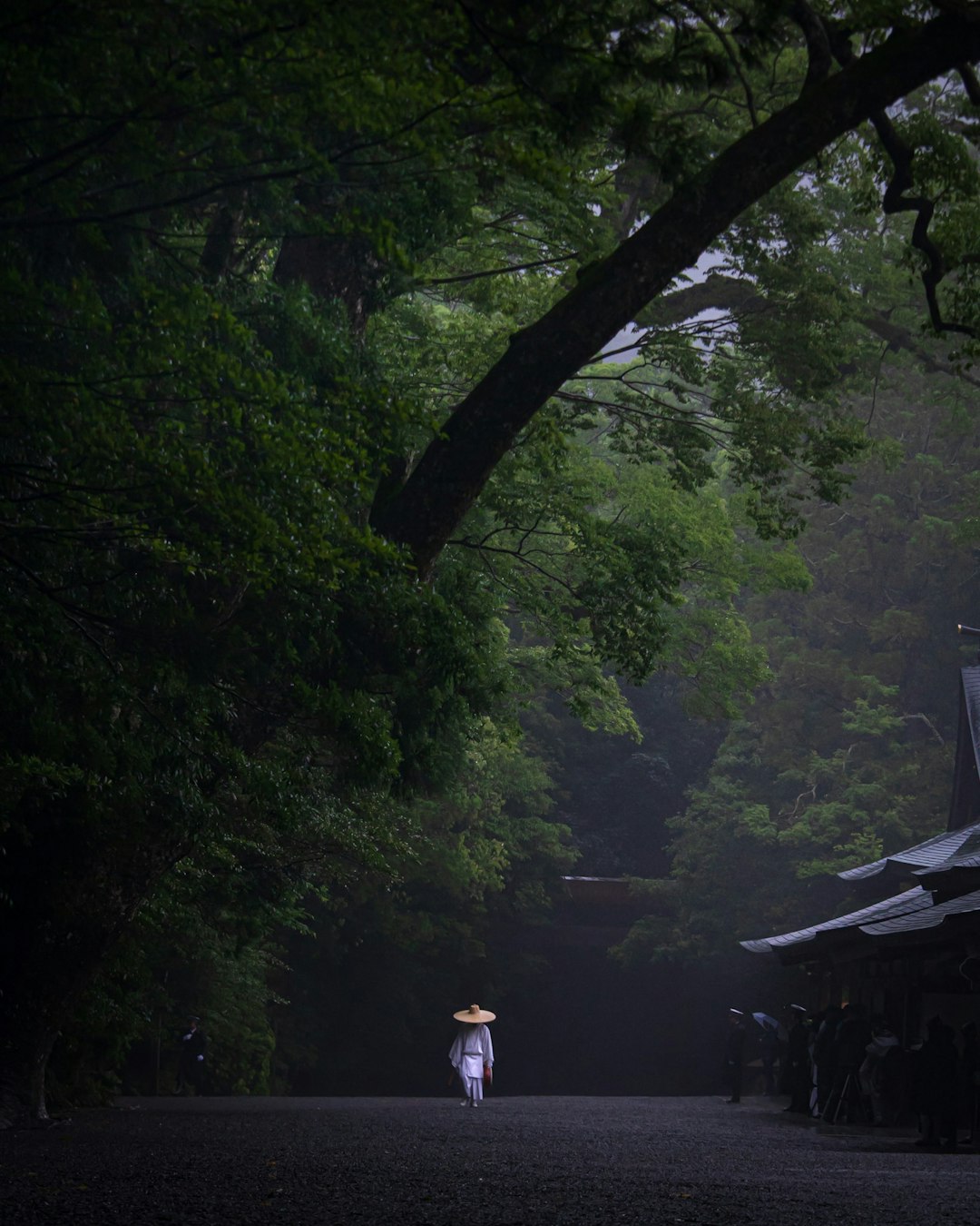 cizucu主宰『Live with Camera』| Challenge #78 | cizucu