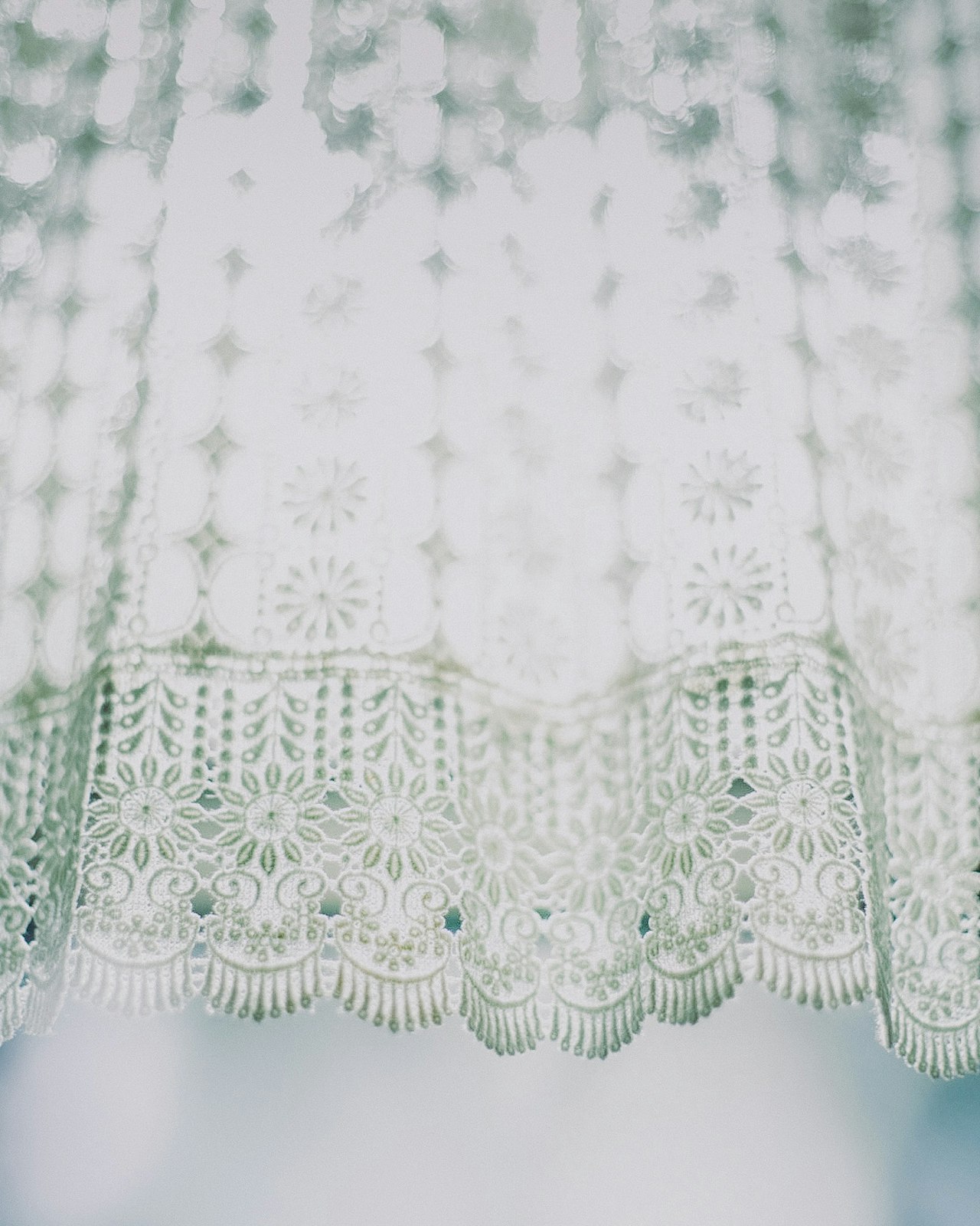 瞬間を切り取る「スナップ写真」の魅力と楽しみ方 | Knowledge #150 | cizucu