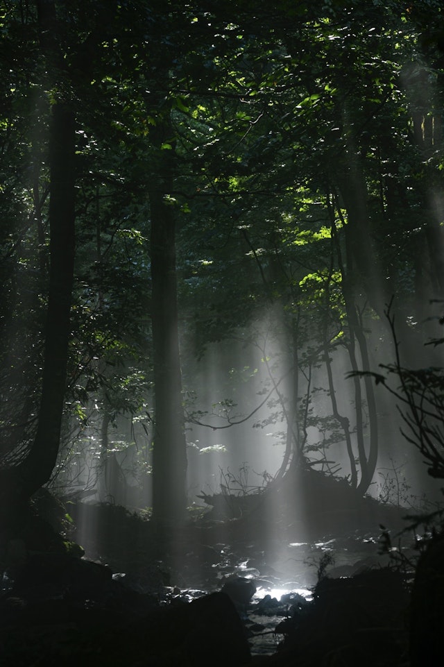 忘れられない風景を彩るプレイリスト | Focus #156 | cizucu