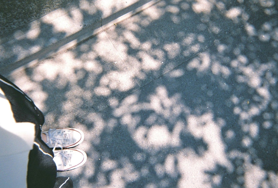 Tracing the History of Cameras: The Story of Innovation Capturing Light ...