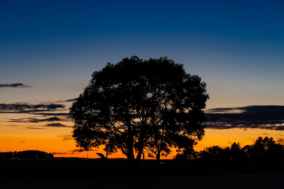 今週の注目作品に『Spotlight』| Knowledge #50 | cizucu