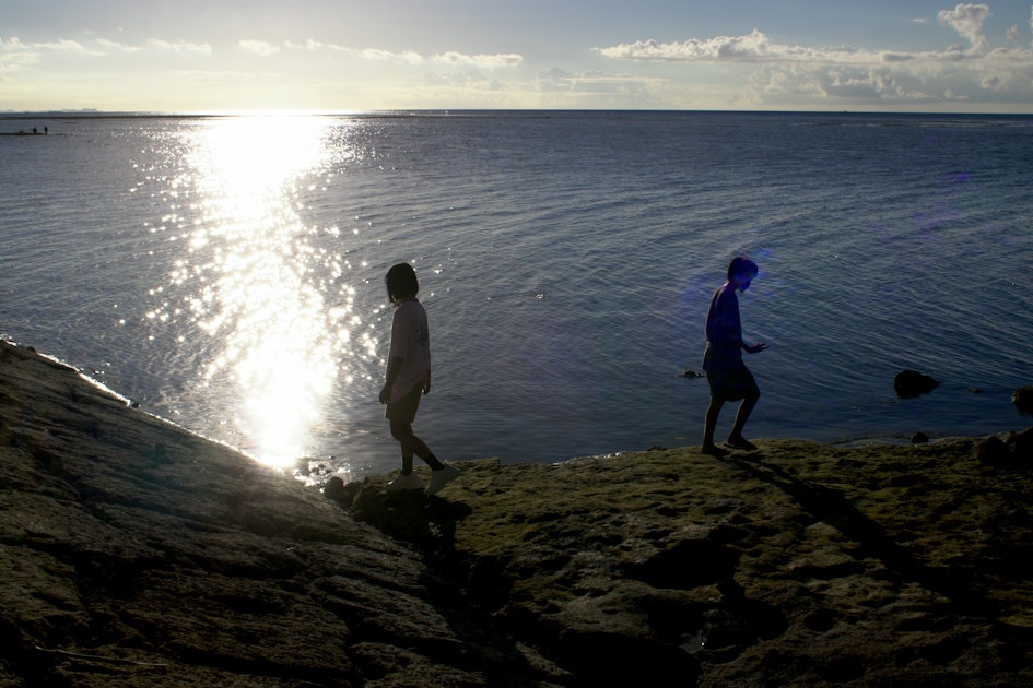 今週の注目作品に『Spotlight』| Knowledge #32 | cizucu