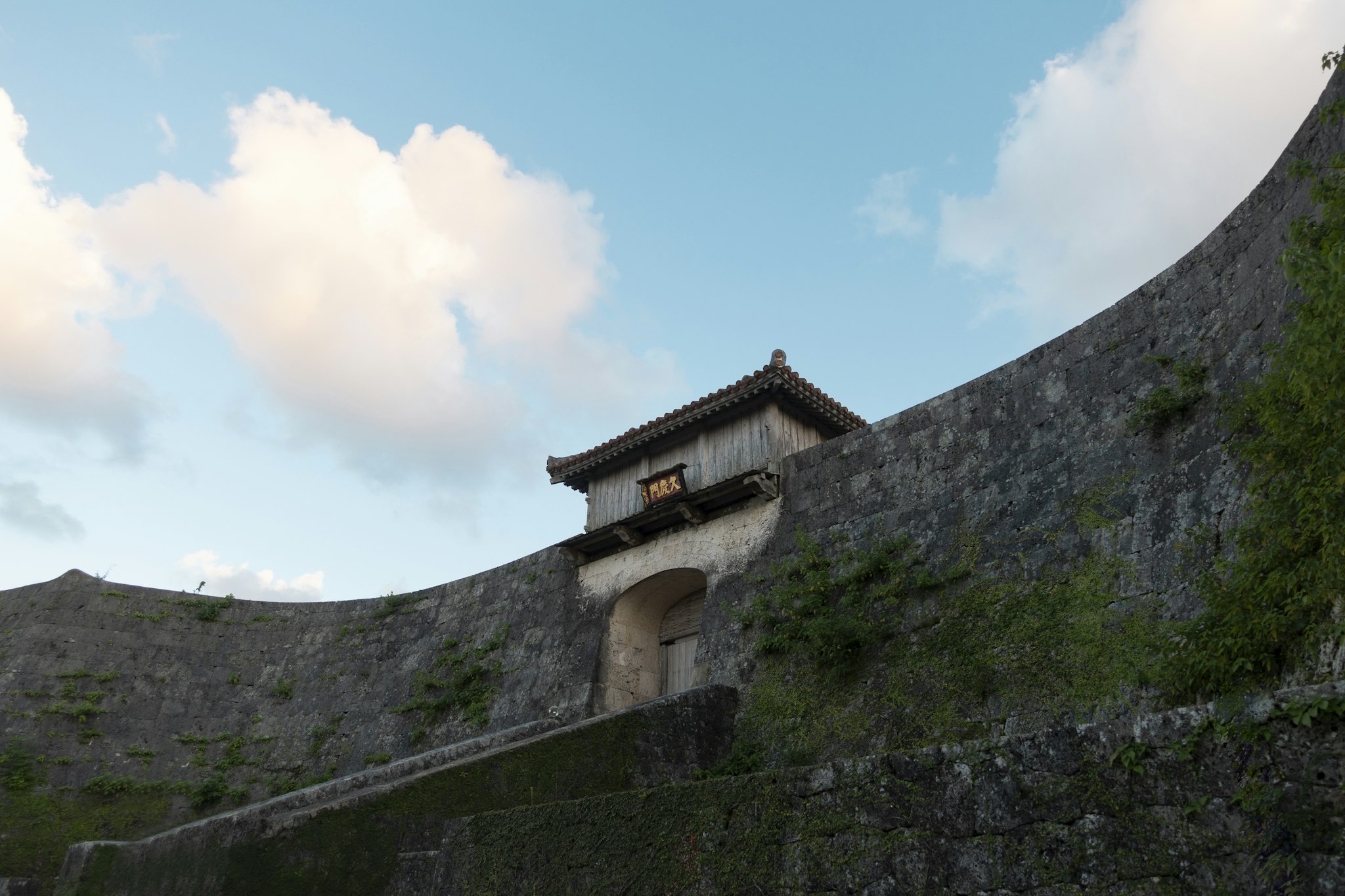 用低角度拍摄展现动态世界 | Knowledge #109 | cizucu