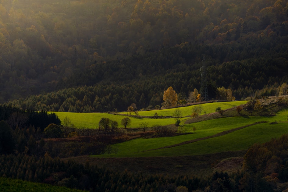 cizucu主宰『Away from All』| Challenge #110 | cizucu