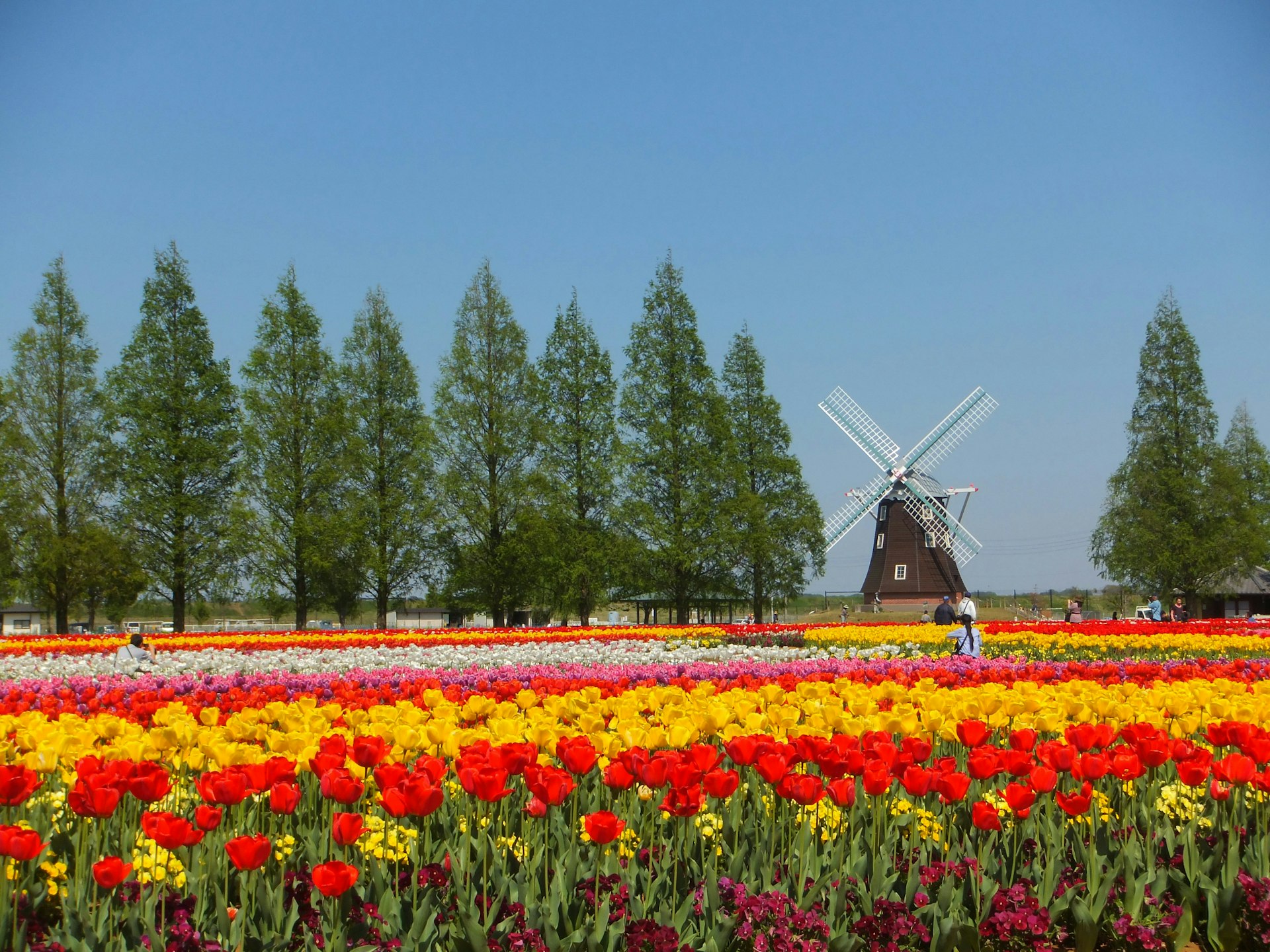 深みを与えるピントの魔法、パンフォーカスで世界をくっきり捉える | Knowledge #249 | cizucu