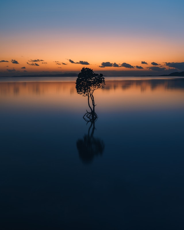 シンプルな写真で創造力を解き放つ | Knowledge #104 | cizucu