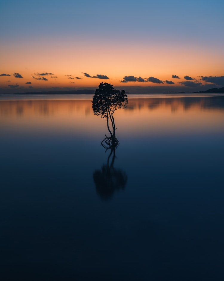 シンプルな写真で創造力を解き放つ | Knowledge #104 | cizucu