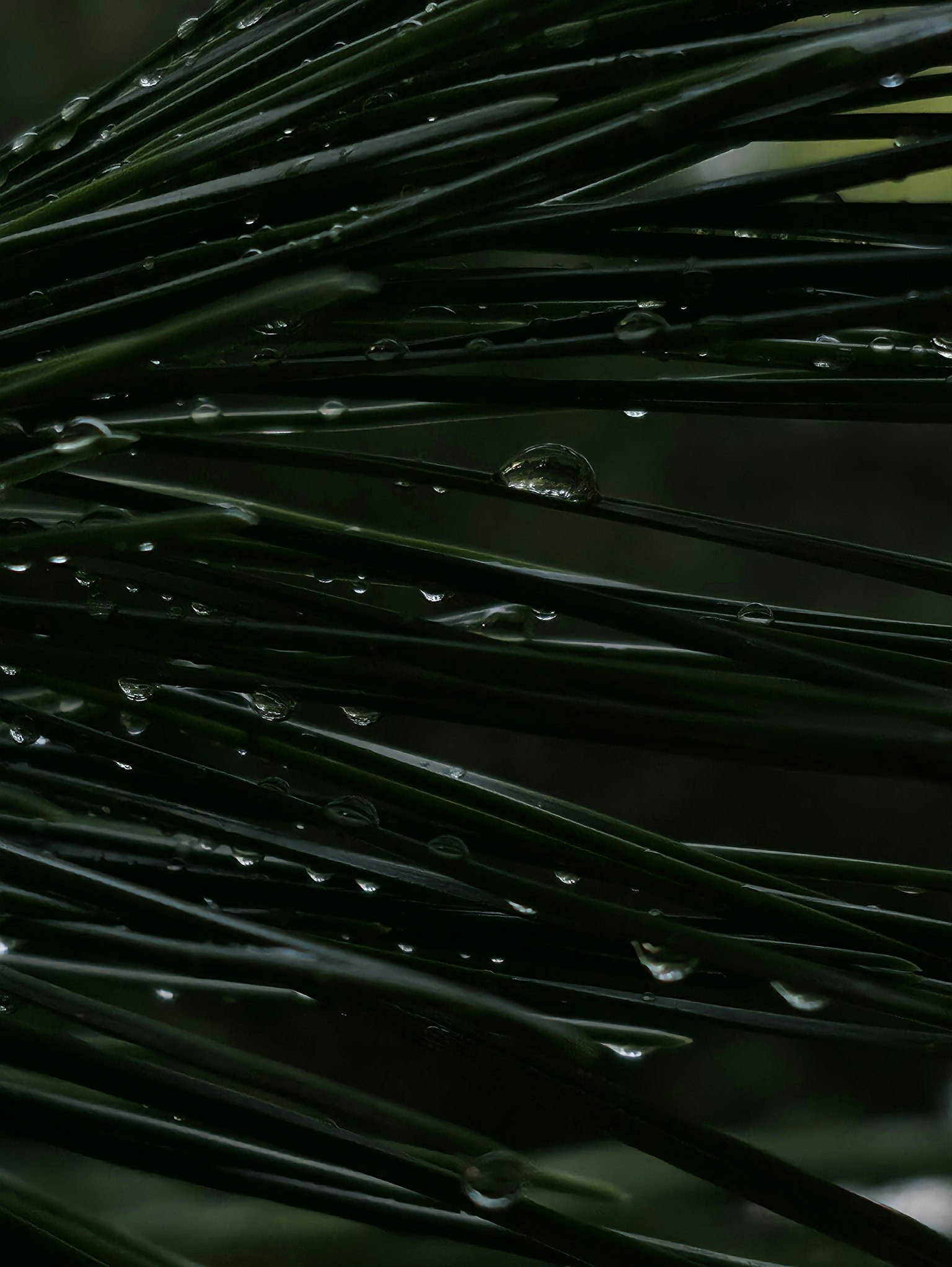 photo poster project | 人によって解釈が異なることを知れた特別な経験 by 현승 | ISSUE #152 | cizucu