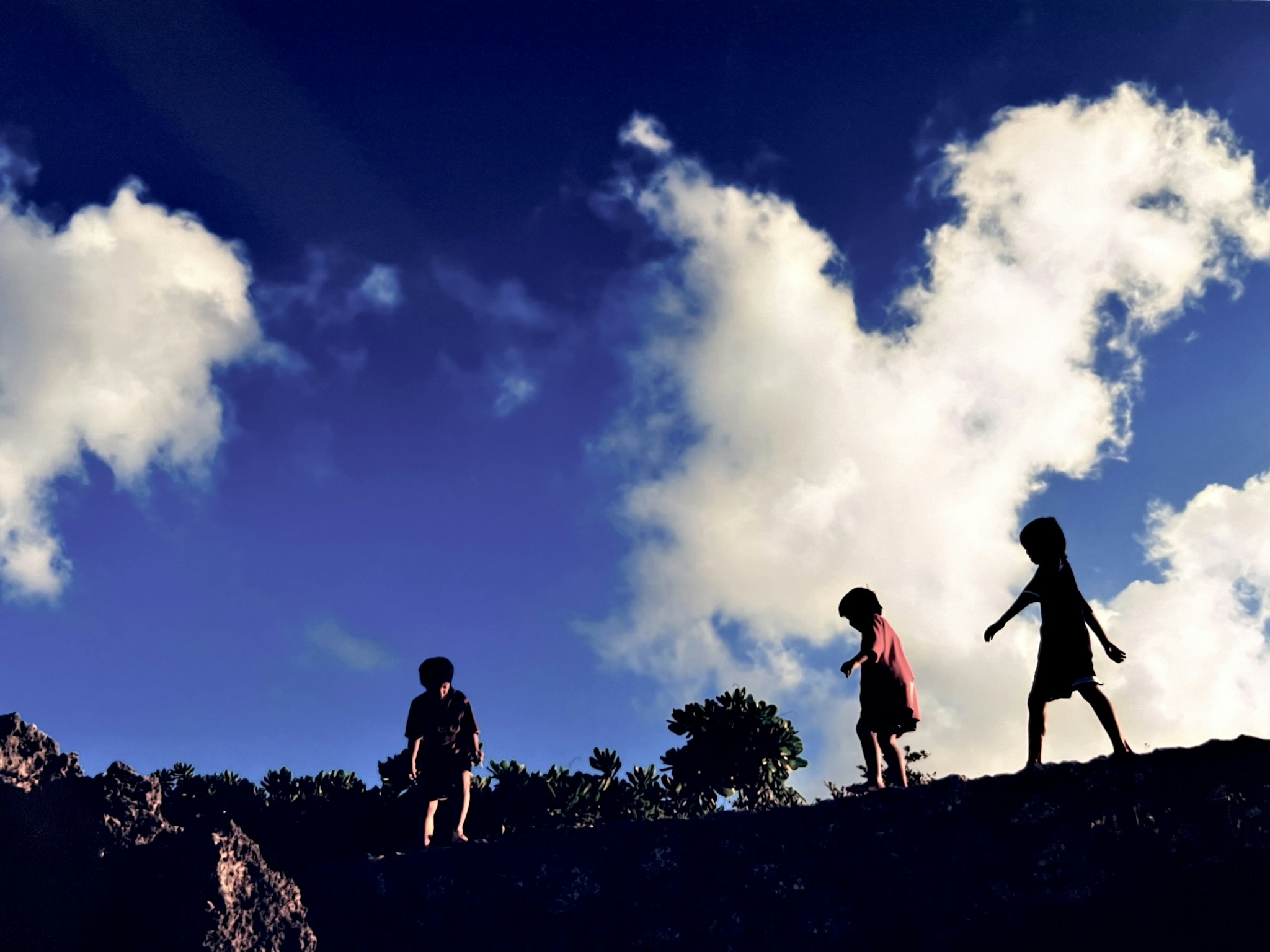 あなたを幸せにする色を写真で見つける | Knowledge #43 | cizucu