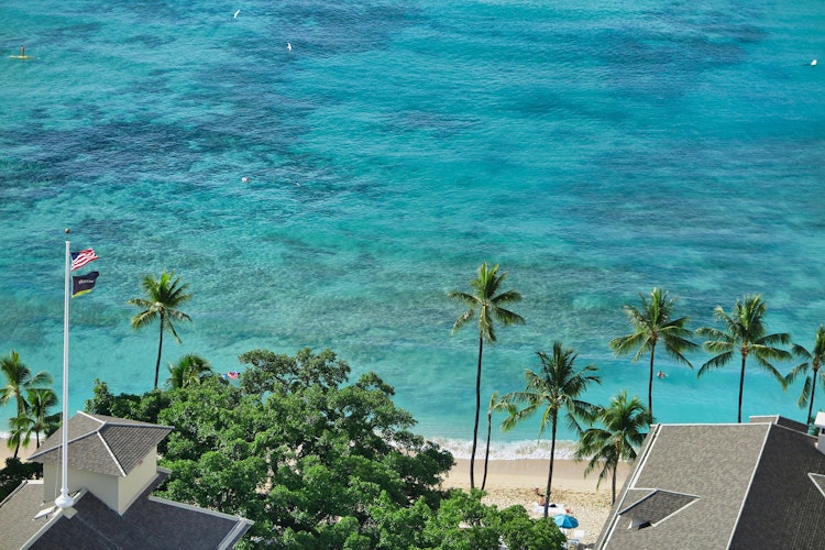 ひまわり畑から花火まで、夏の特別な瞬間を撮る | Knowledge #74 | cizucu