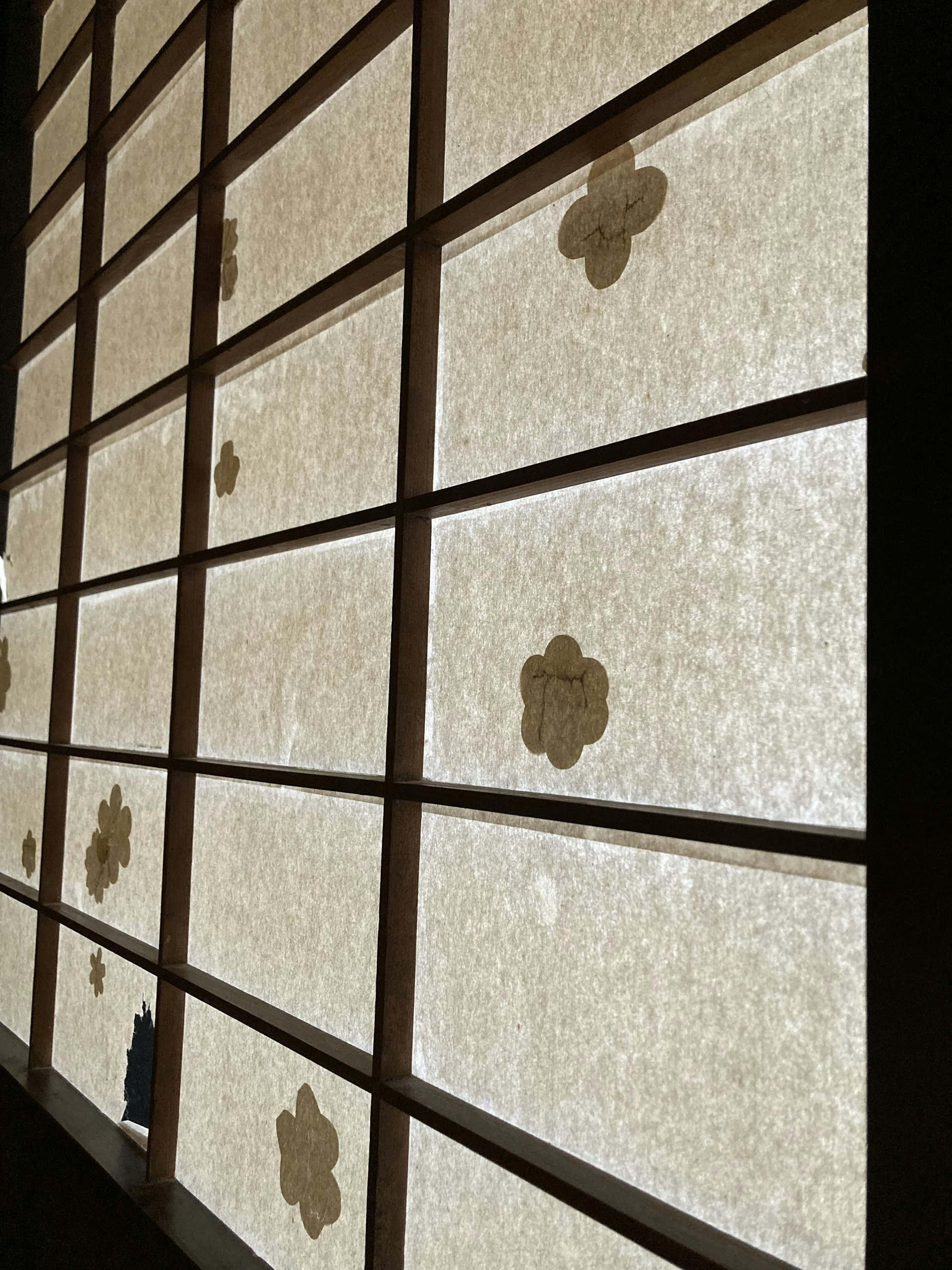 大丸京都店『しまつのこころ』受賞発表 | Challenge #59 | cizucu