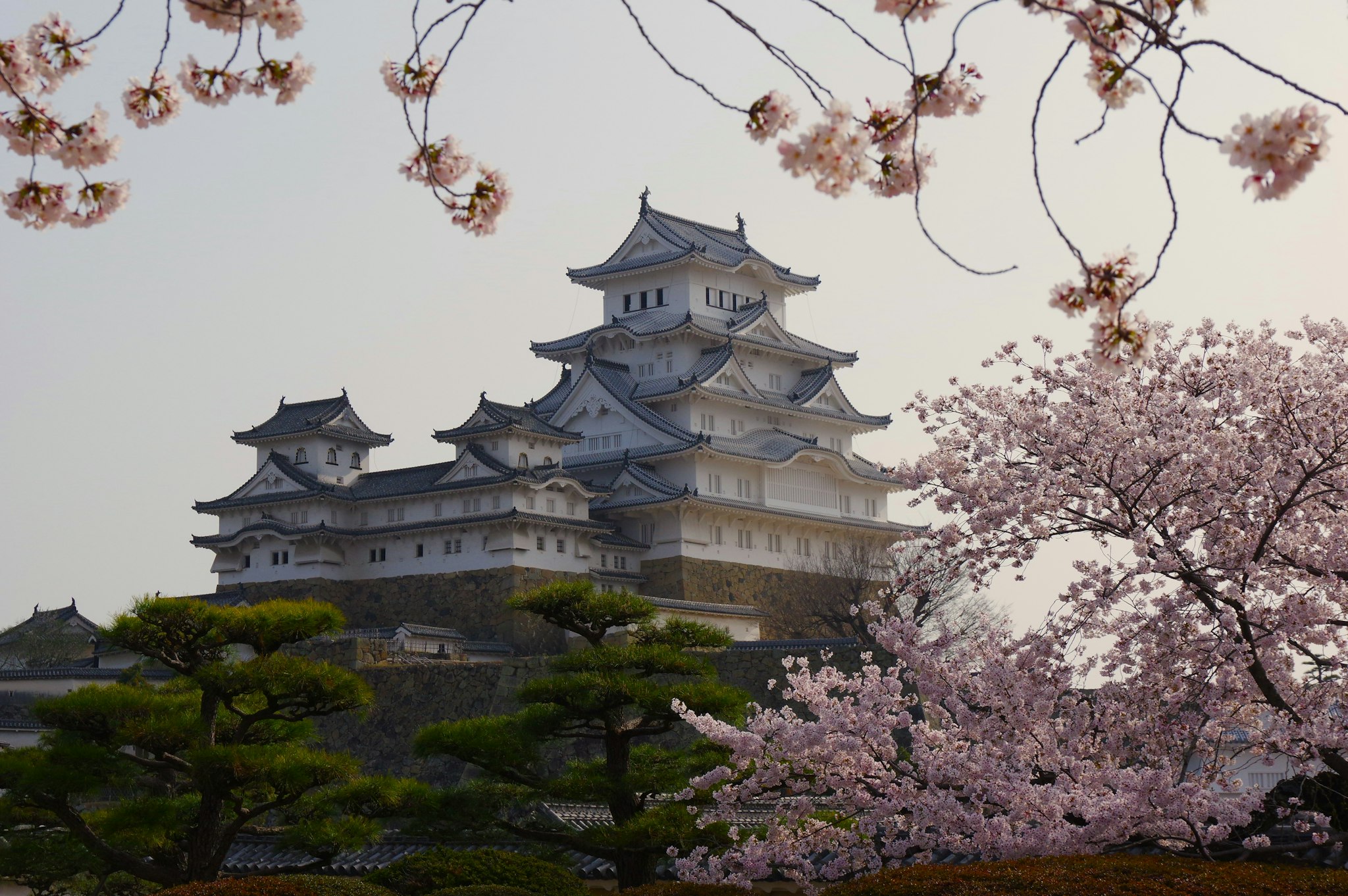 エミー賞で視覚効果賞を受賞した『SHOGUN 将軍』の映像表現に迫る | Release #312 | cizucu