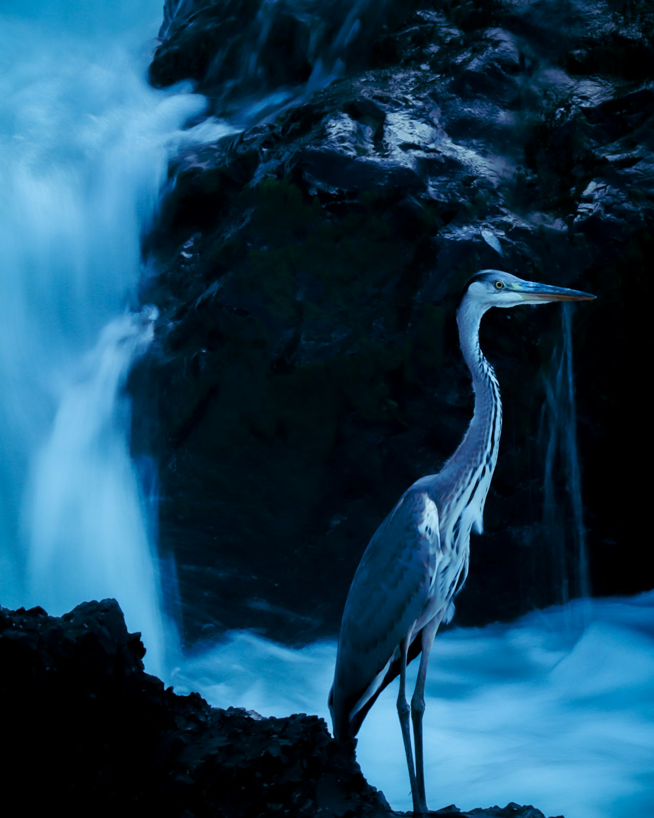 cizucu主宰『In Their World』受賞発表 | Challenge #140 | cizucu