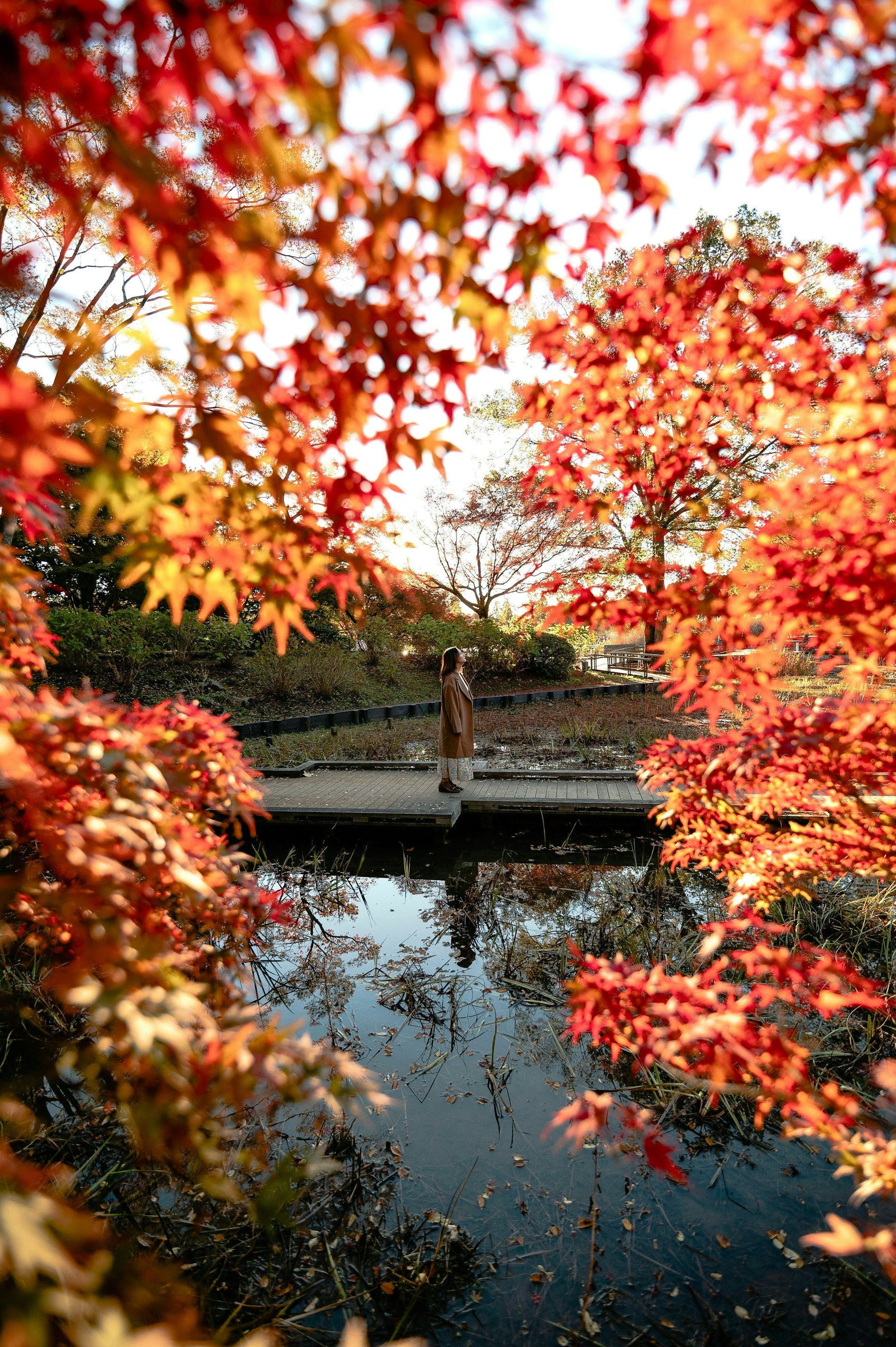 フレームインフレームで写真に深みを！額縁構図の魅力と撮影アイデア | Knowledge #191 | cizucu