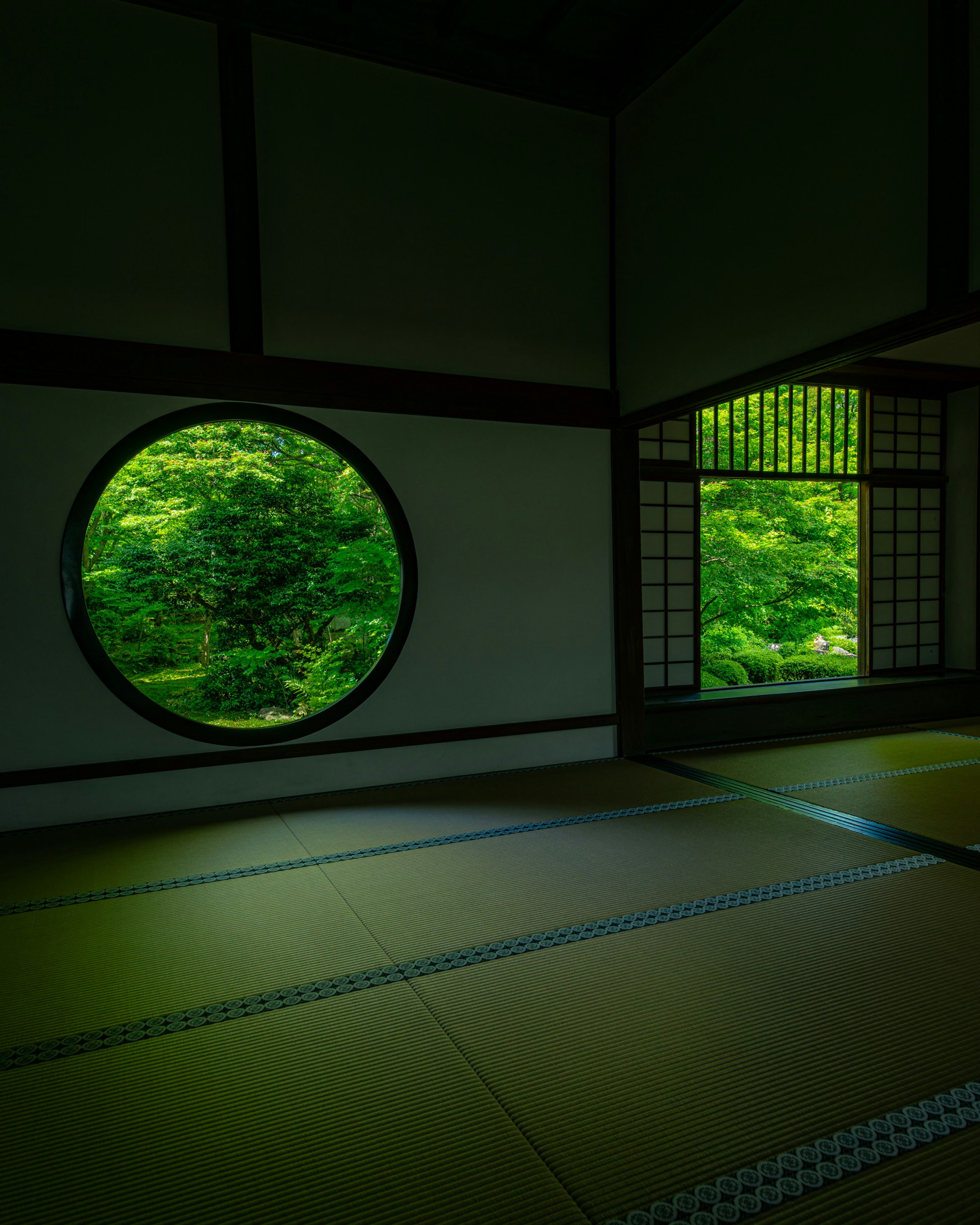 写真における緑の活かし方 | Focus #180 | cizucu