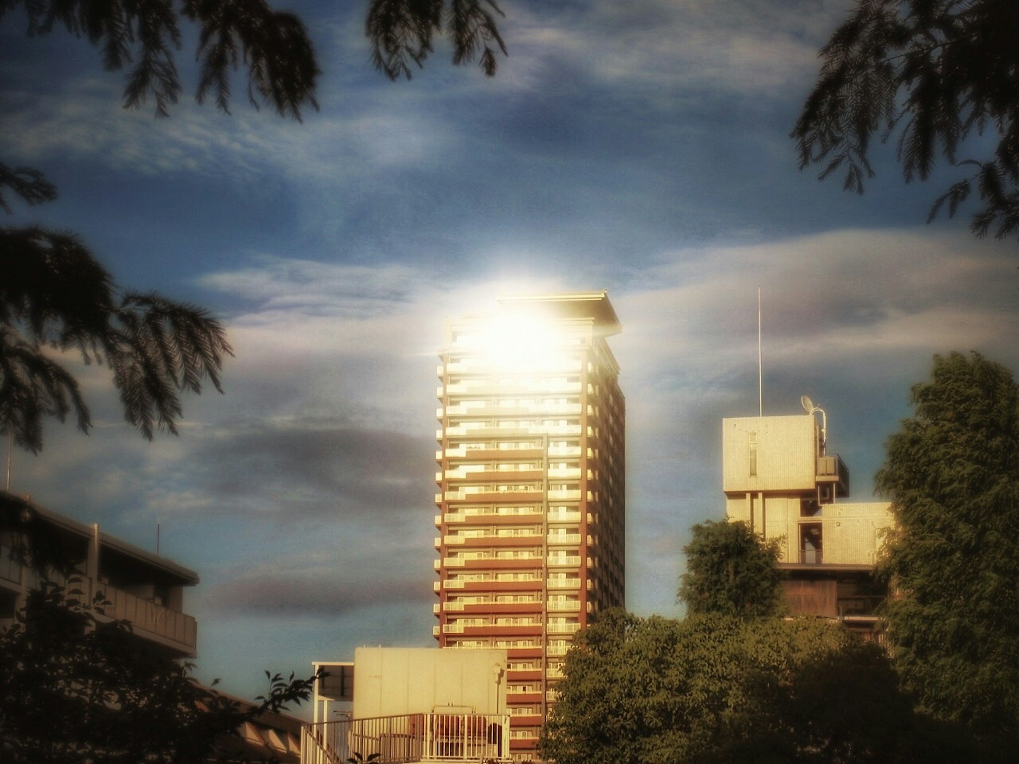 cizucu主宰『Illuminate Yourself』| Challenge #120 | cizucu