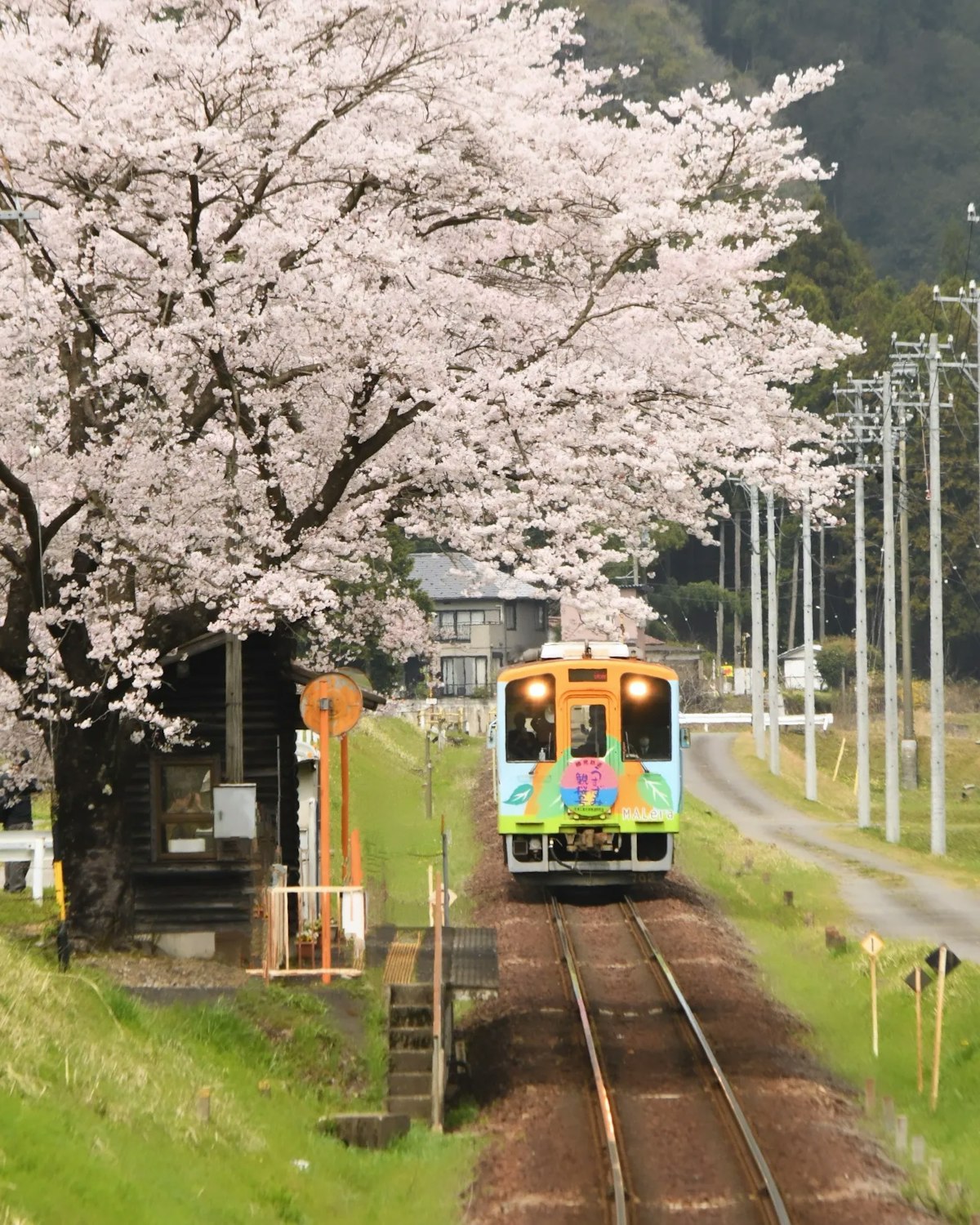 今週の注目作品に『Spotlight』| Knowledge #44 | cizucu