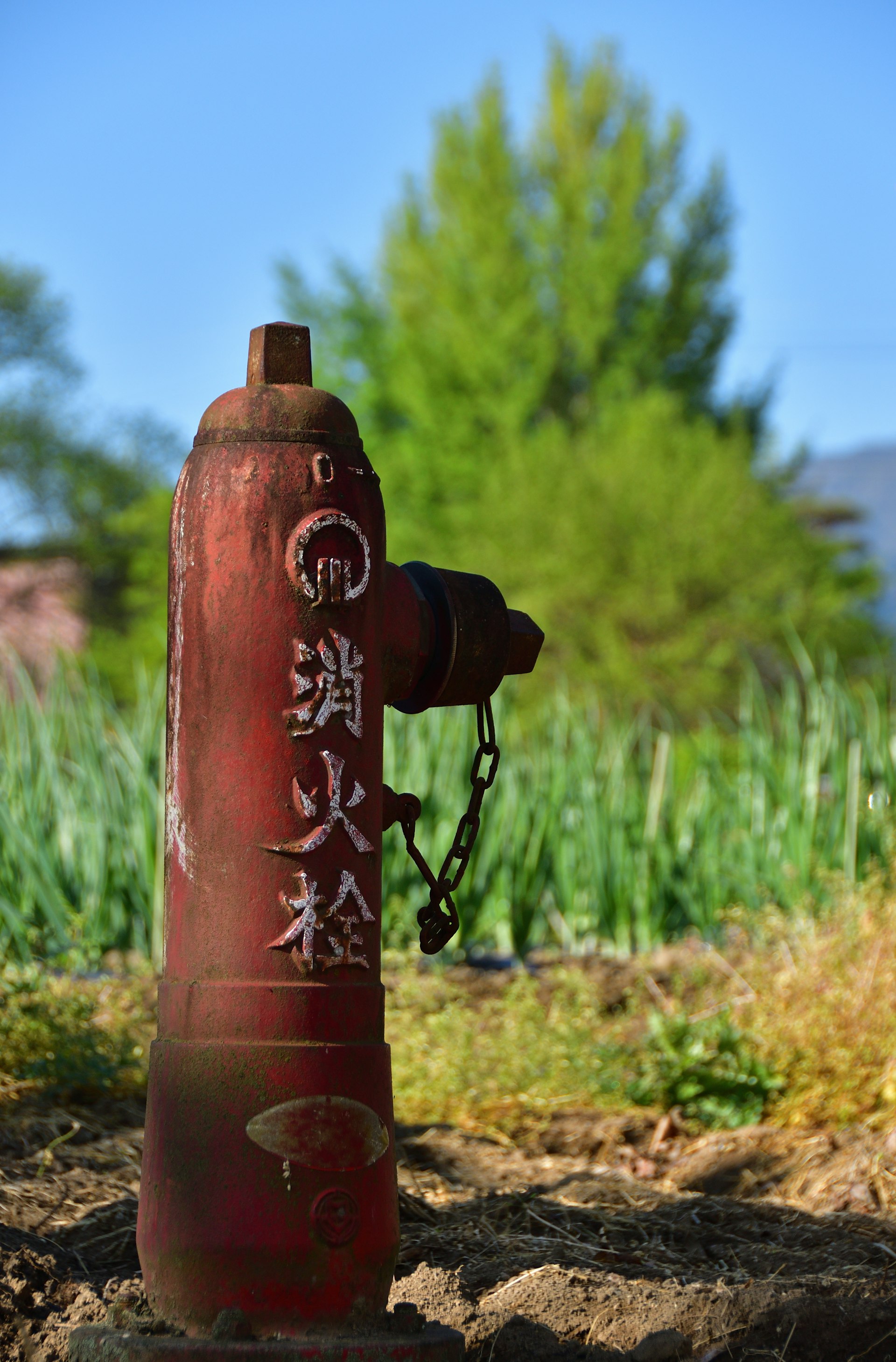 頭から離れない一枚？脳科学が明かすトリック | Knowledge #49 | cizucu